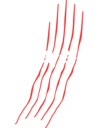 Kongsberg Satellite Services | SvalSat | Longyearbyen | SVALBARD